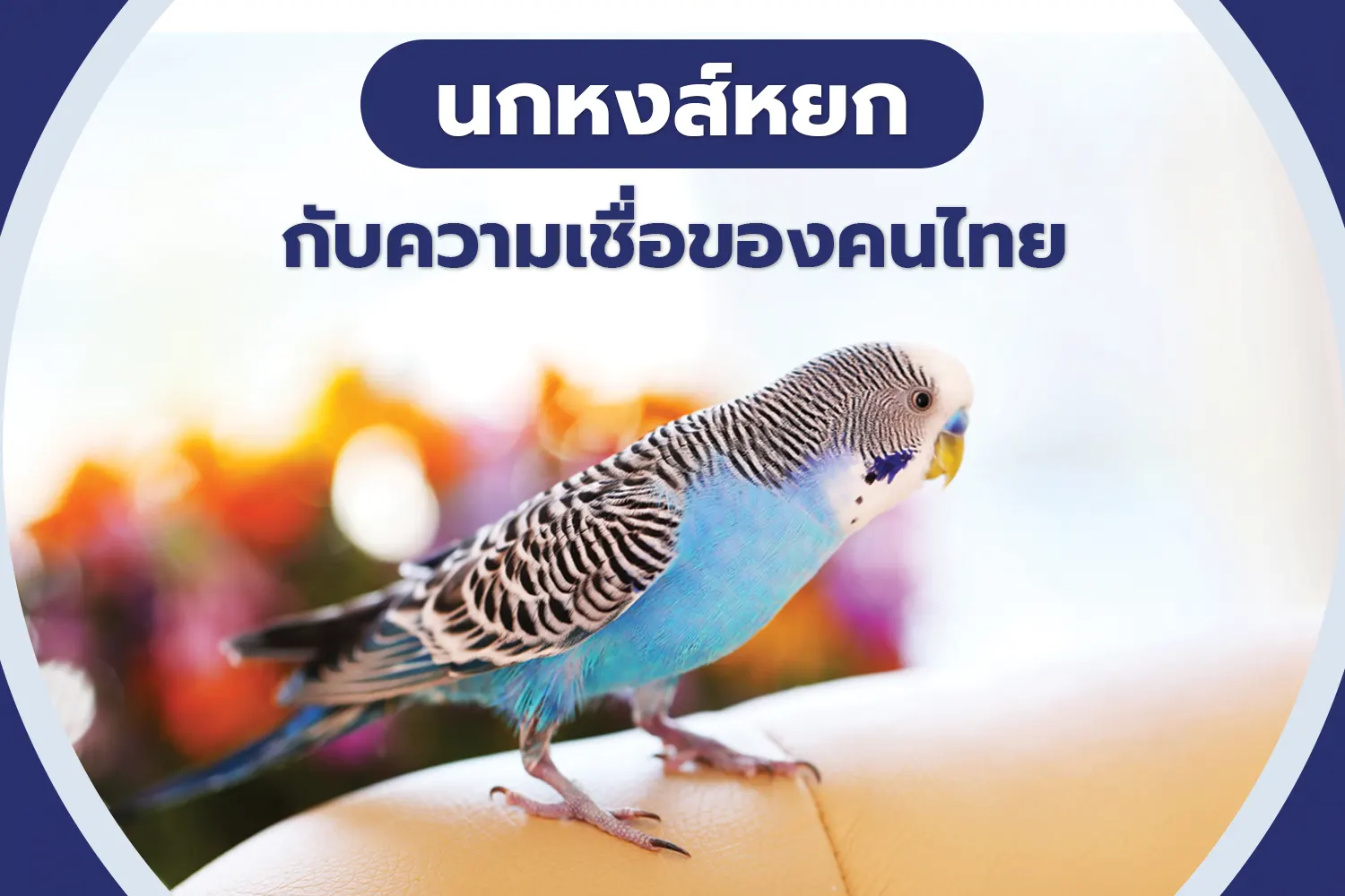 นกหงส์หยก ความเชื่อเรื่องนกมงคลของคนไทย - Thailand Pet Center
